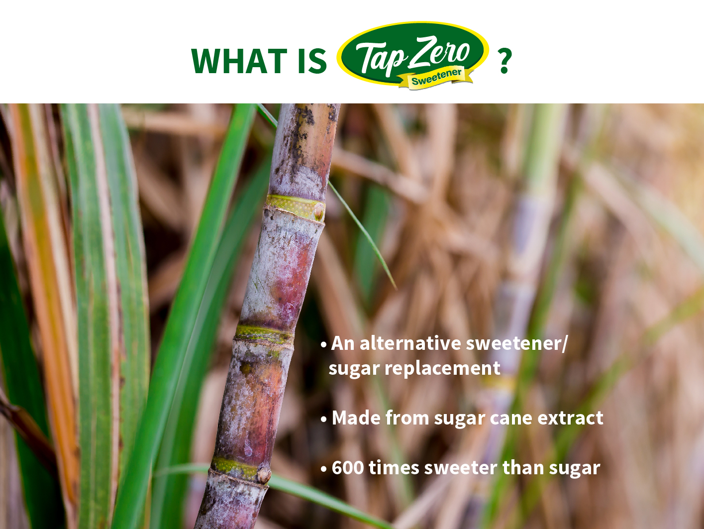 Well3 Tap Zero Sweetener